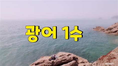 클립 18k열돈님 마리당 1000풍 미션 먹티아니쥬 광어1수 낚시 25두산 아프리카tv Vod