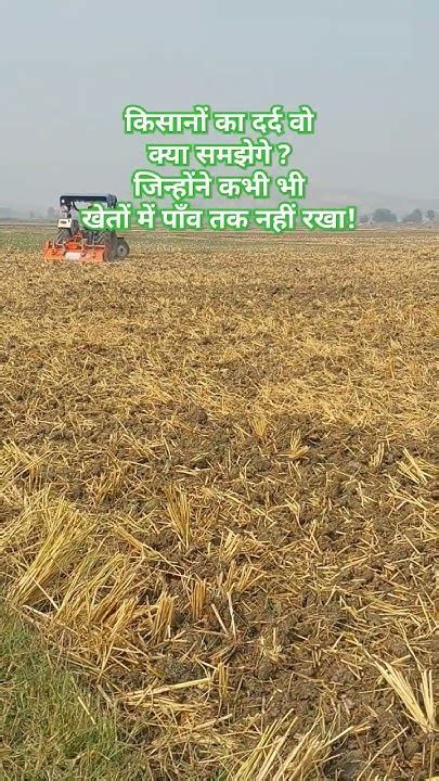 किसानों का दर्द वोक्या समझेगे जिन्होंने कभी भीखेतों में पाँव तक नहीं रखा Shorts Viralshorts