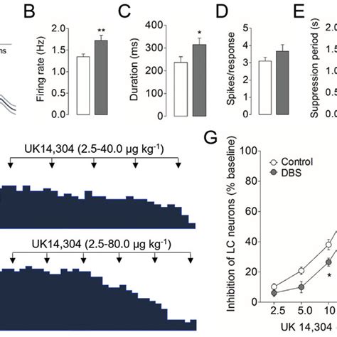Effect Of Dbs On The Electrical Activity Of Lc Neurons And