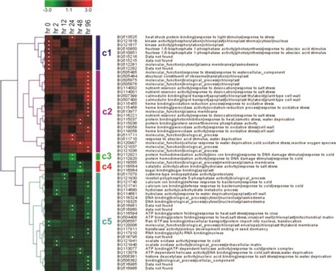 Heatmap Of Clustered Genes Showing Five Clusters Download Scientific Diagram