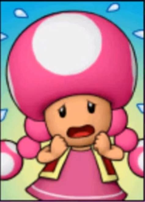 Toadette En Mario Party Ds 2 By Gabi36 On Deviantart