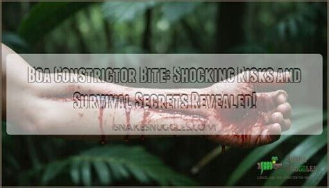 Boa Constrictor Bite Shocking Risks And Survival Secrets Revealed