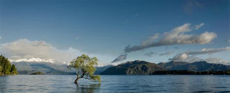 The Webrtc Story Part I Webrtc For Developers