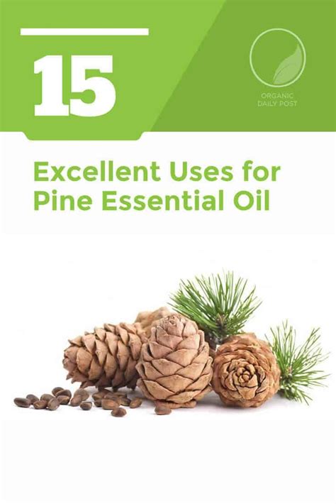 15 Excellent Uses For Pine Essential Oil Artofit