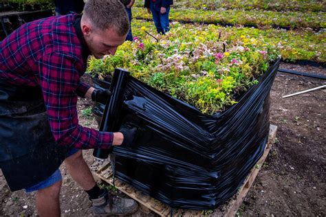 M Tray® Modular Green Roofs Wallbarn