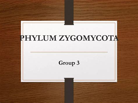 Phylum Zygomycota Ppt