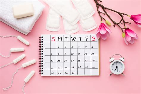 Entiende Tu Ciclo Menstrual Y Sus Fases Salud Femenina Laura Jové