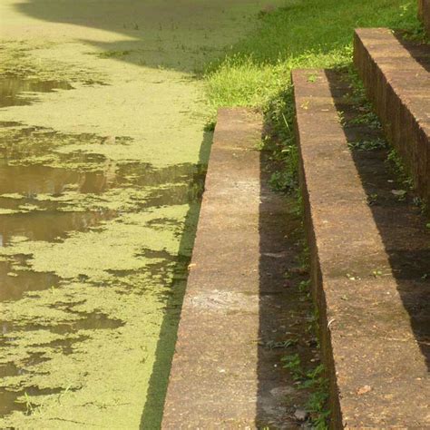 Geometry Geography De So Asia