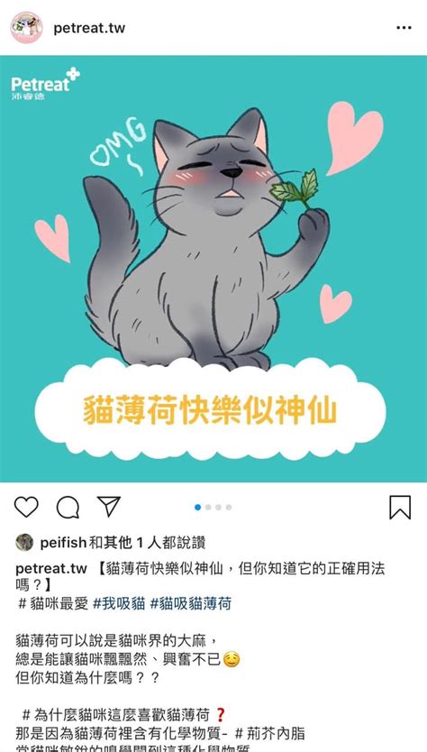 ＃圖 吸到ㄎㄧㄤ的貓草初體驗🤣 有趣板 Dcard