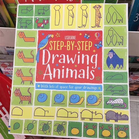 Step By Step Drawing Book Fiona Watt