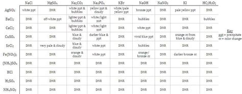 Net Ionic Equation Lab AP Chemistry