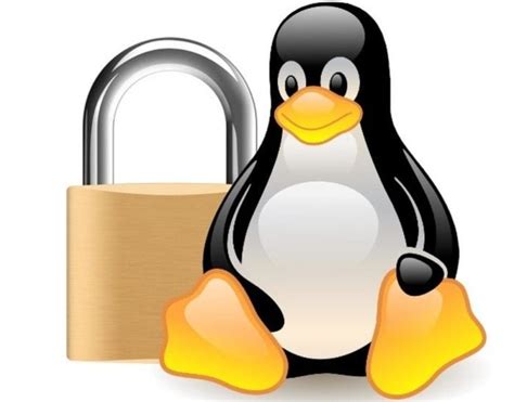 Best Open Source Security Tools ESecurity Planet