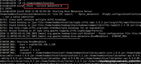 Hive在spark200启动时无法访问libspark Assembly Jar 没有那个文件或目录的解决办法spark
