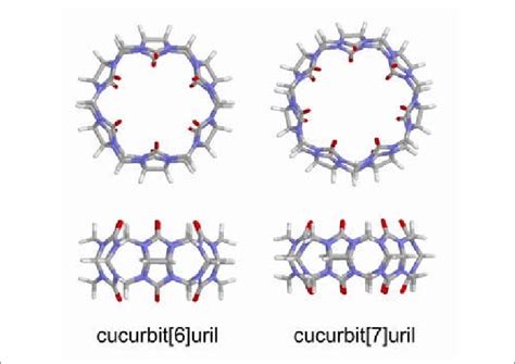 1 Molecular Structure Of Cucurbituril Top Top And Lateral Bottom