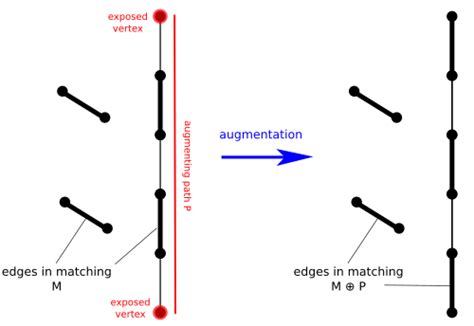 Mohammad Abdulaziz On Linkedin Blossom Algorithm Wikipedia