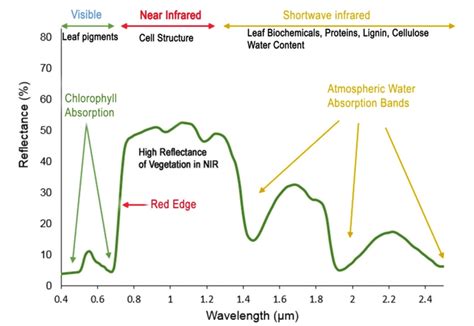 plot a spectral signature from reflectance data in python nsf neon open data to understand