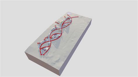 Circulation 3d Model By Simxnsxah [da858fd] Sketchfab
