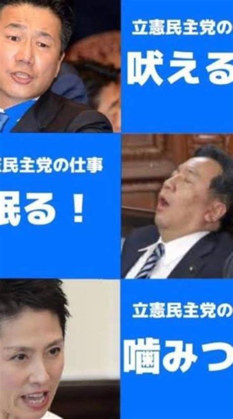 立憲民主党の暴挙と政策を批判する会 宣伝ok