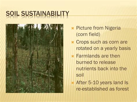 Ppt Oxisols Powerpoint Presentation Free Download Id1883973