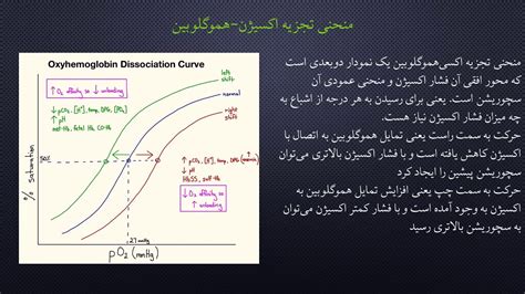 آموزش تحلیل منحنی اکسیژن هموگلوبین Youtube