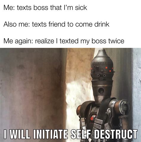 Initiate Self Destruct Rmemes