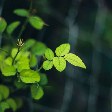 🔥 50 Iphone Parallax Wallpapers Wallpapersafari