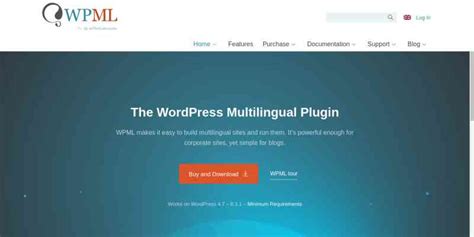 Wpml Translation Analytics Pluginsforwp