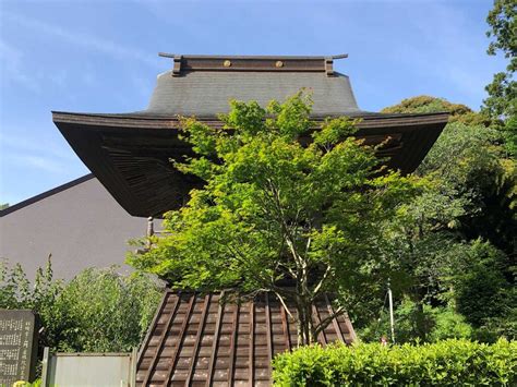 「来迎寺だより」カテゴリーの記事一覧 【公式】浄土宗 東光山宝樹院 来迎寺 千葉県香取市のお寺