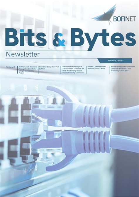 Bofinet Bits And Bytes Vol 2 Issue 2 By Bofinet Issuu