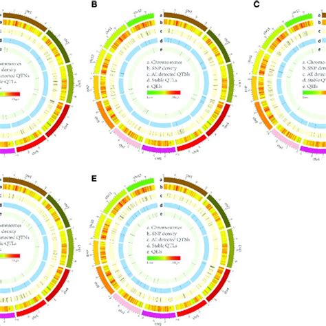 Comparison Of Qtnqtl Identification For Different Gwas Methods