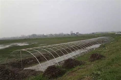 挑戰不可能！湖北養殖戶要一年養兩造蝦 達人秀 每日頭條