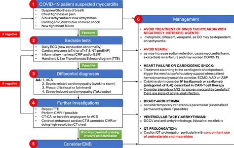 Myocarditis Echo Findings Myocarditis The Disease Is Commonly