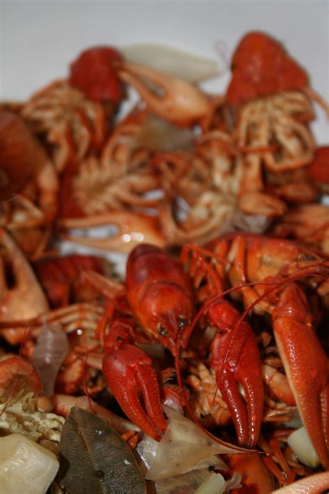 You Have To Cook It Right Crayfish Risotto