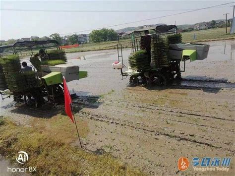 冷水滩：5万“铁牛”闹春耕农机牛角坝镇张春刚