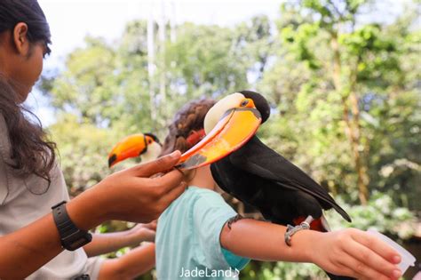 싱가포르 여행코스 가볼만한곳 유니버셜스튜디오 가든스바이더베이 네이버 블로그