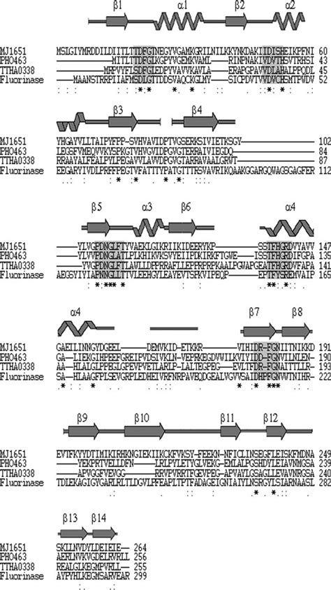 Proteins Structure Function And Bioinformatics Journal Abbreviation At Kenneth Neilson Blog
