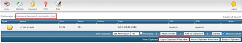 H Ng D N Sao Ch P Copy D Li U Website Tr N Directadmin Nhan Hoa