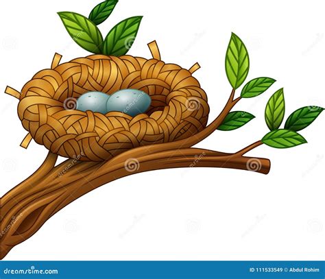 Bird Nest With Eggs Vector Cartoon Illustration CartoonDealer