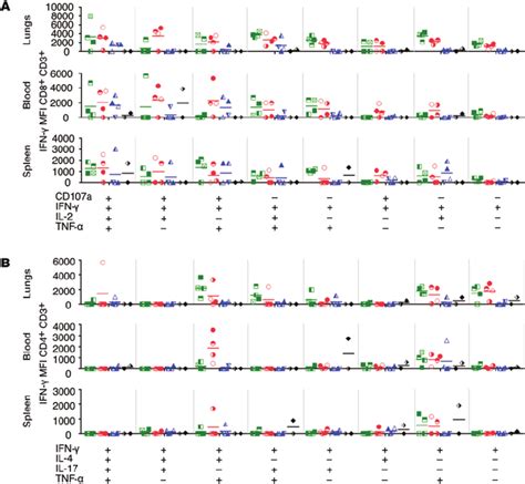 Ifn γ Expression In Polyfunctional T Cells Ifn γ Mfi Y Axes For