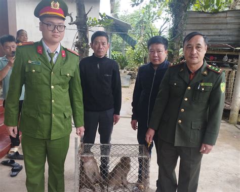 Tiếp Nhận 2 Cá Thể Khỉ đuôi Lợn để Thả Về Môi Trường Tự Nhiên Báo