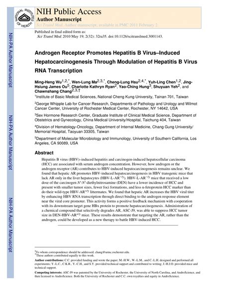 Pdf Androgen Receptor Promotes Hepatitis B Virus Induced