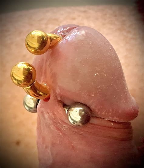 Piercing Prince Albert Pics Xhamster