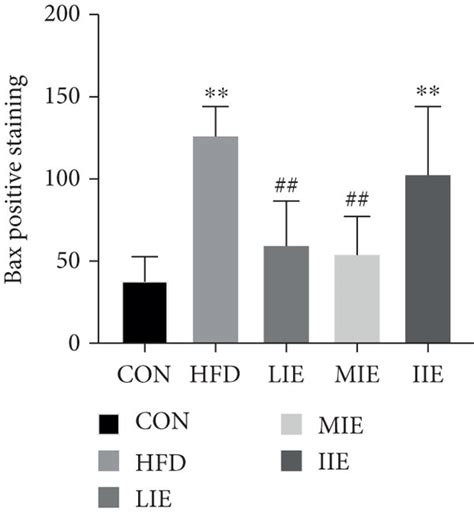 Immunohistochemical Staining Analyses Of Bax Bcl 2 And The Bcl 2bax Download Scientific