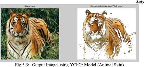 Figure 5 1 From Skin Segmentation Using YCBCR And RGB Color Models