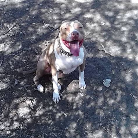 Stream Taylor Lloyd Music Listen To Songs Albums Playlists For Free On Soundcloud