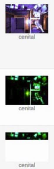 Corrupt Image When Acquiring Issue Genicam Harvesters Github