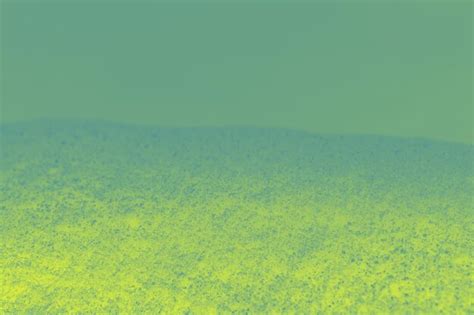 Premium Photo Surface Of Snow With Various Traces