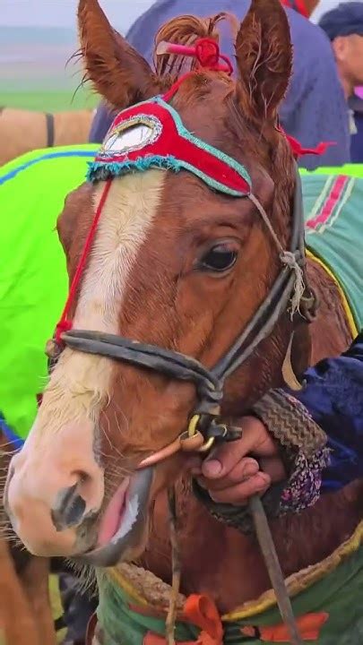 Зуны зургаан сарын үзэсгэлэн Youtube