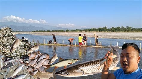 Big Fish Hunting Skill 😉 20kg Maxa Mariyo😱 Youtube