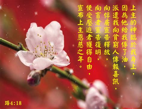 一月 2023 天主教聖方濟堂